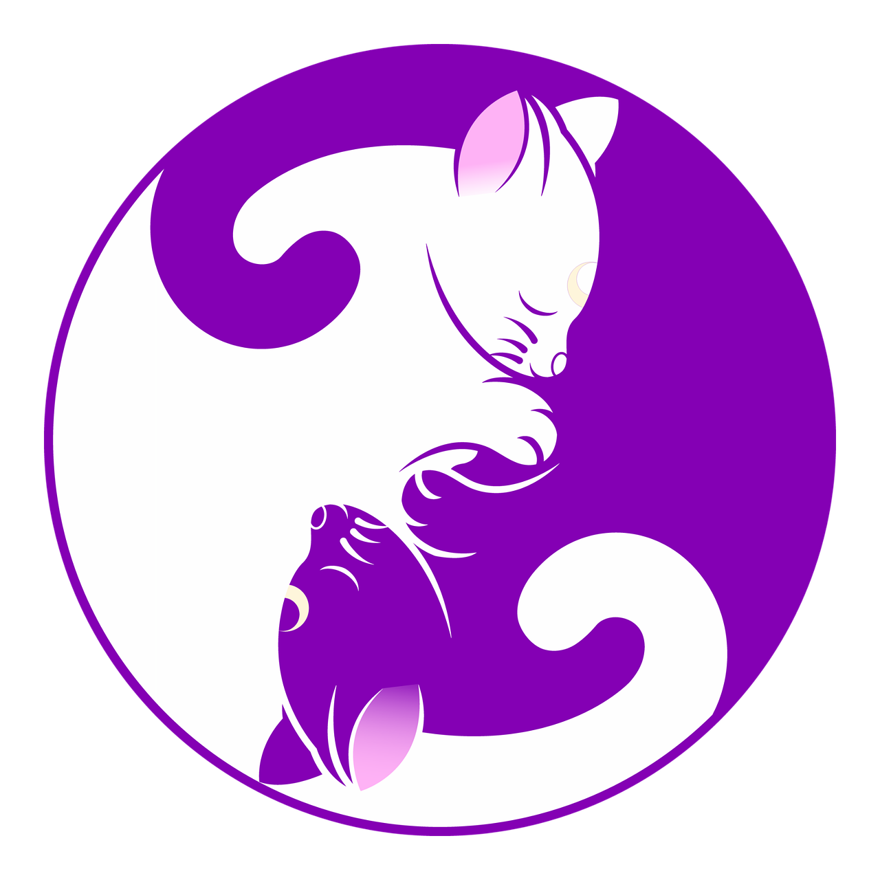Psychic Readings by Kala Anderson | The Psychic Power Network®