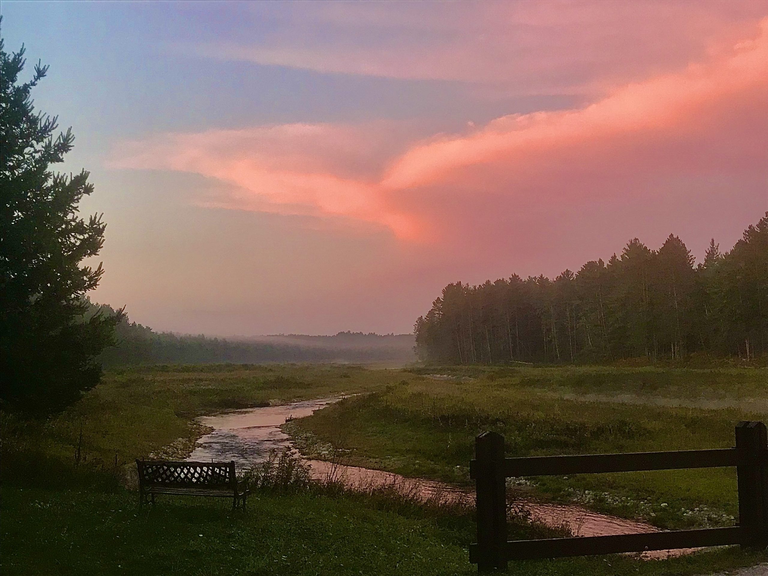 Psychic Readings by Branwen White | The Psychic Power Network®