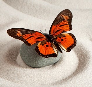 Psychic Readings by Shawna Diaz | The Psychic Power Network®