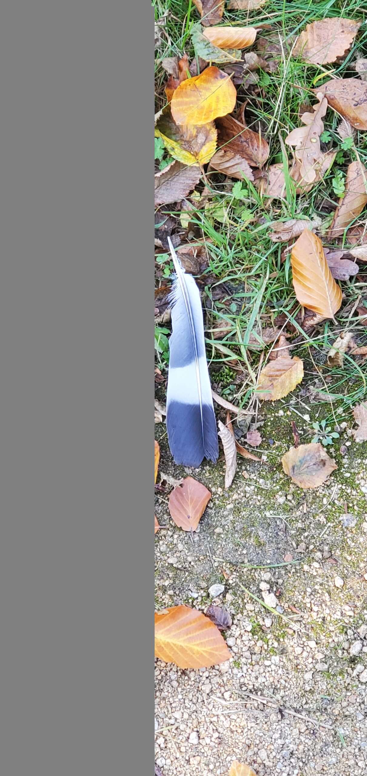 Psychic Readings by Jeanette Fowler | The Psychic Power Network®