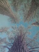 Psychic Readings by A. Arthur | The Psychic Power Network®